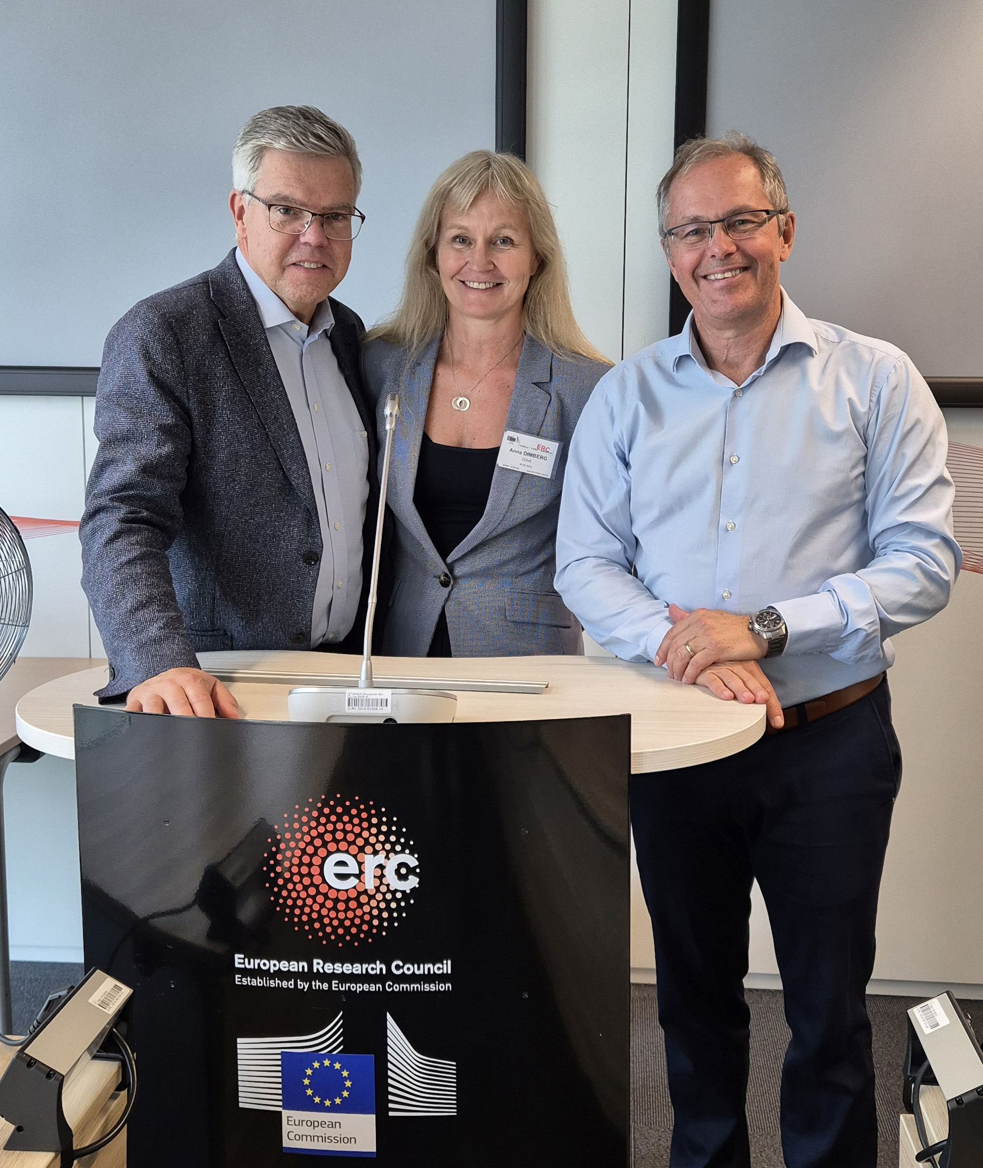 Blutgefäße als Schlüssel zu wirksameren Krebsimmuntherapien